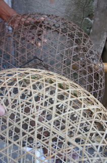 Awesome Bulusan!: Tuob as Indigenous Knowledge: Aligning with the ...