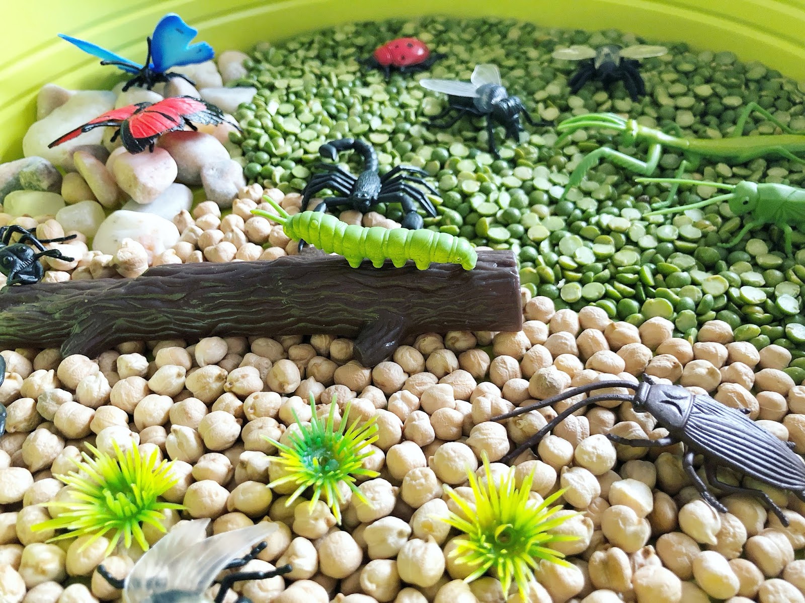 Find the Little Mind: Let's Explore Bugs with Safari Ltd.