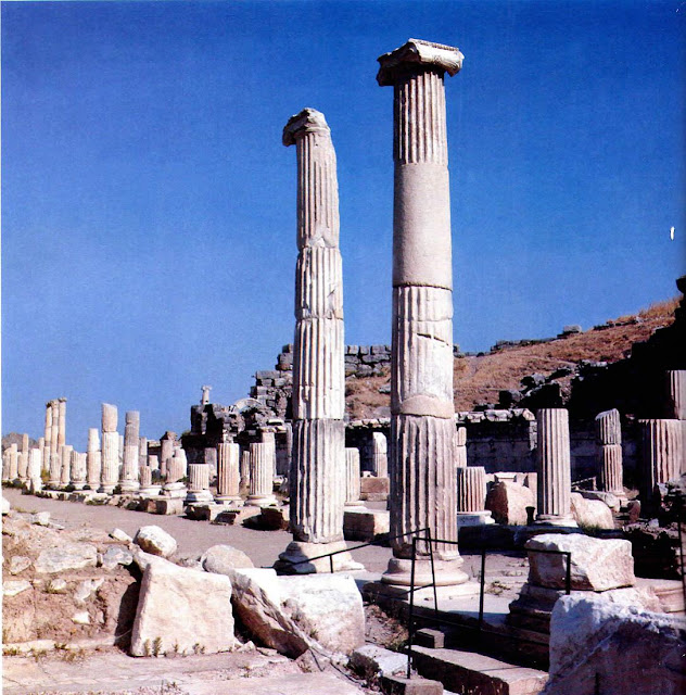 Punto al Arte: El orden jónico