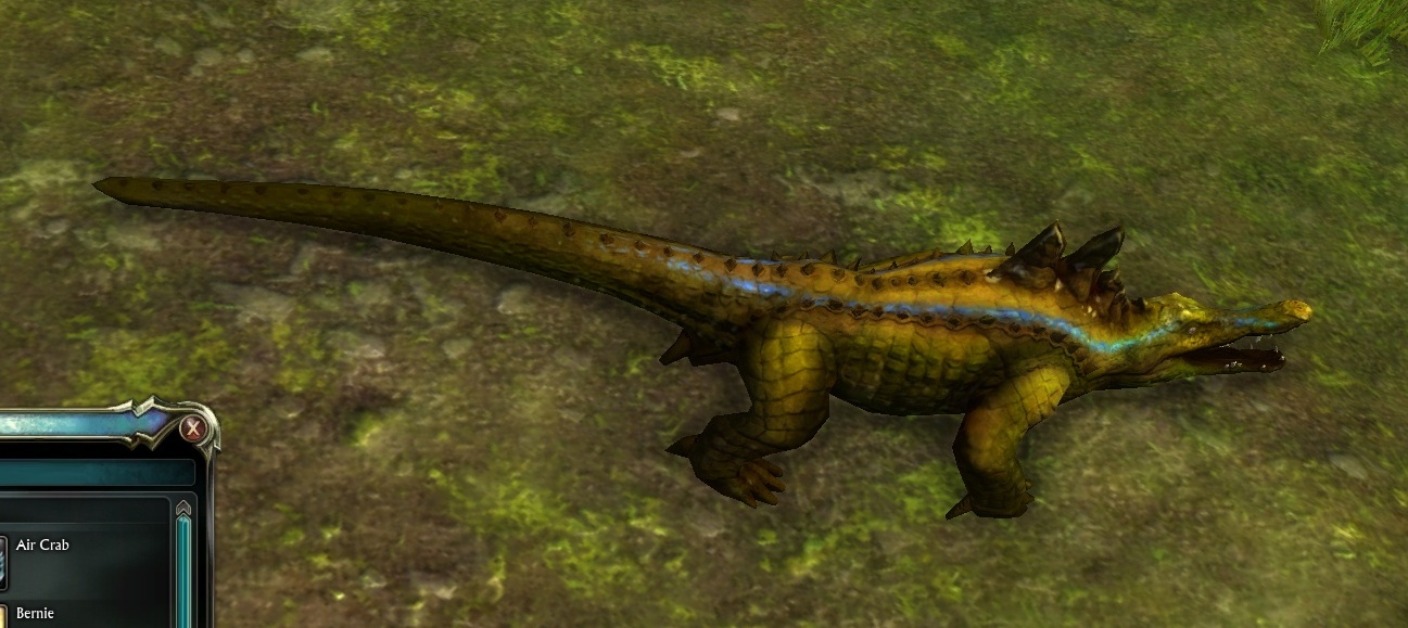 MMO2Go: Rift Companion Pets