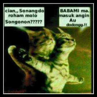 Kata Kata Lucu Bahasa Batak | Kumpulan Kata - Kata Bijak