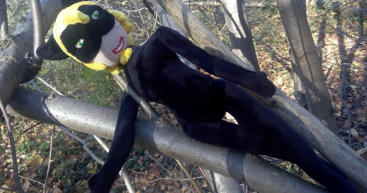 Miraculum: Czarny Kot