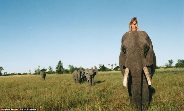 Mollie's Blog: Tippi: My Book Of Africa