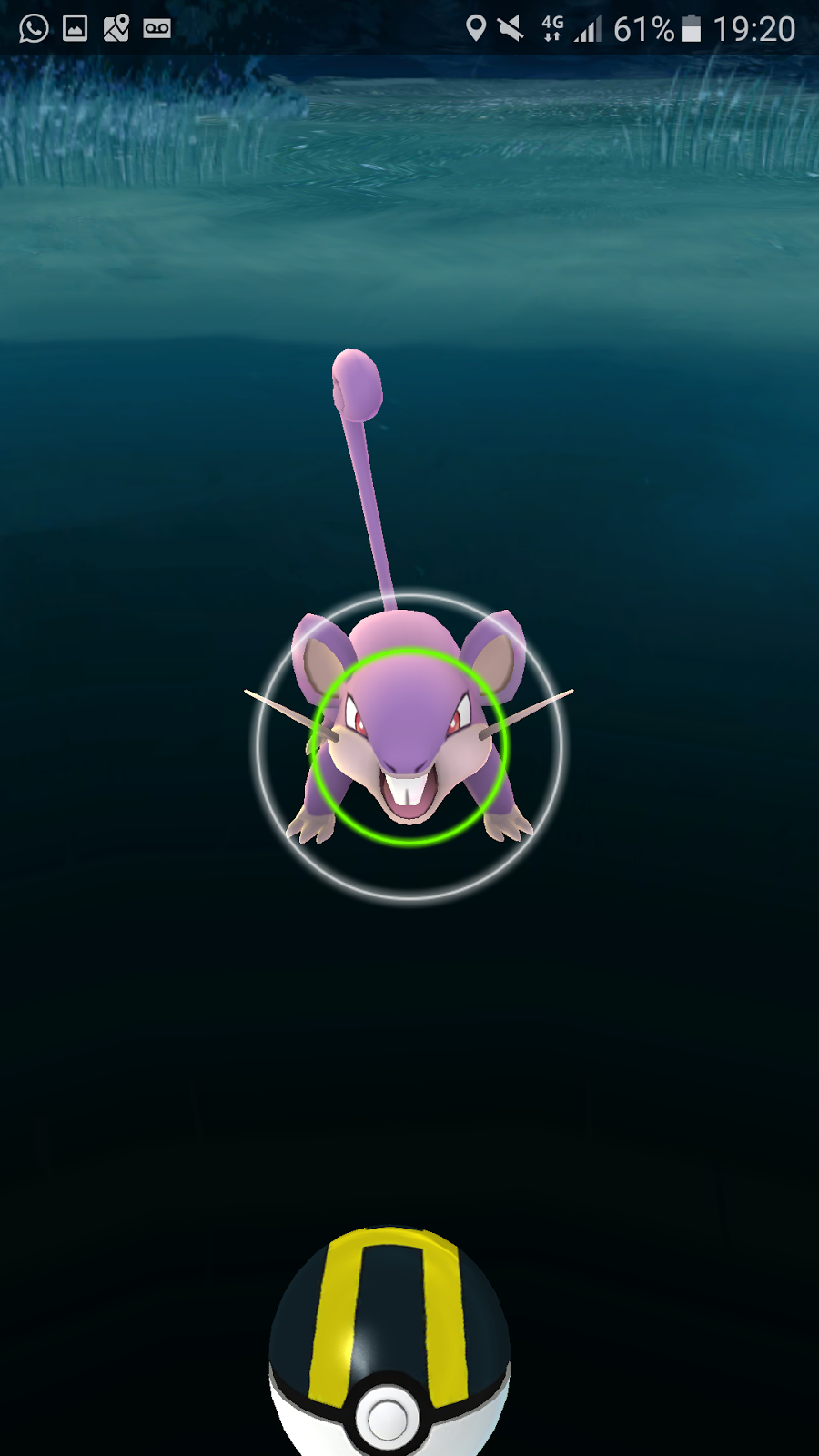 Pokémon Go Qual A Melhor Pokéball Para Capturar Pokémons Solution