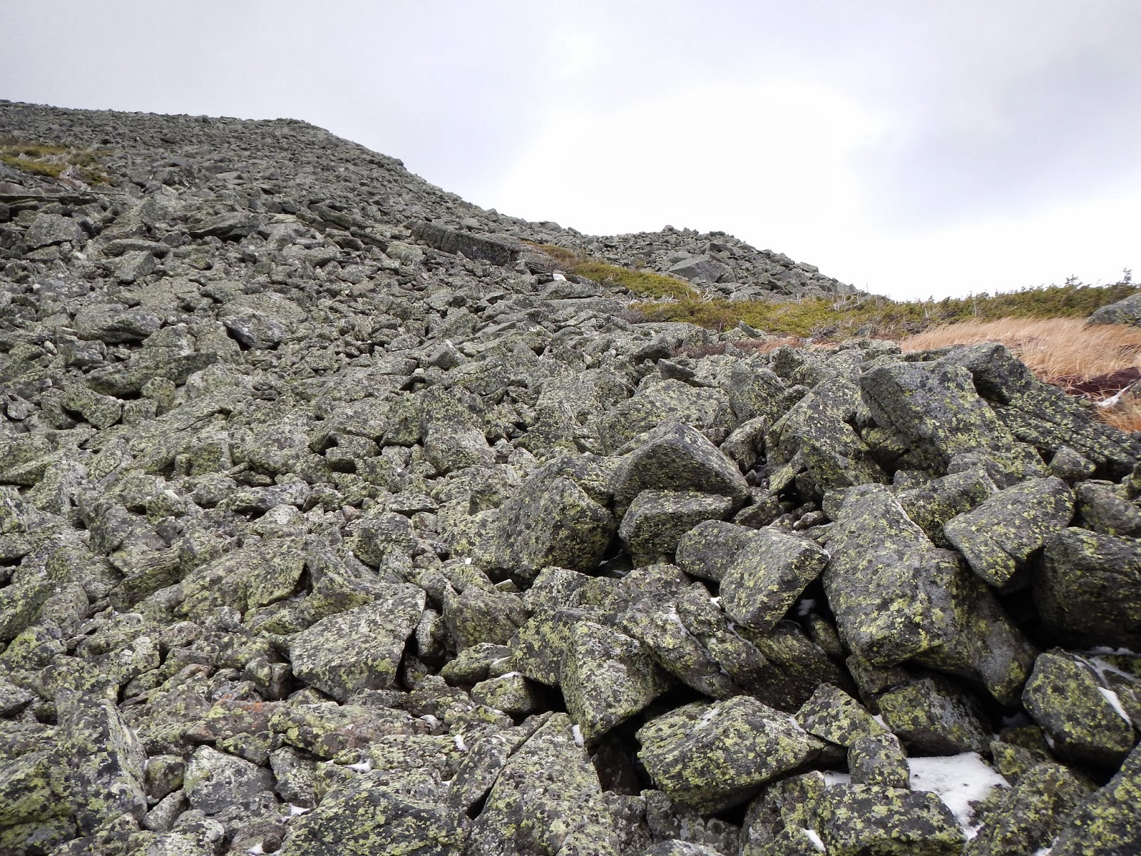 Hitting the Trails: 10/20/2013-10/21/2013 Mount Adams and The Great Gulf