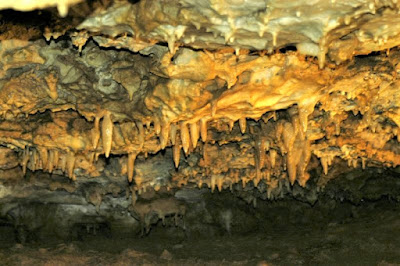 Day Hiking Trails: Hike heads through important bat cave