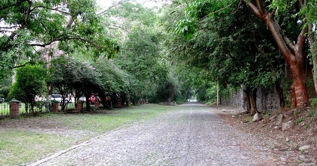 Periódico El Alacrán: GOBIERNO DE COLIMA BUSCA CONSERVAR LAS HUERTAS DE ...