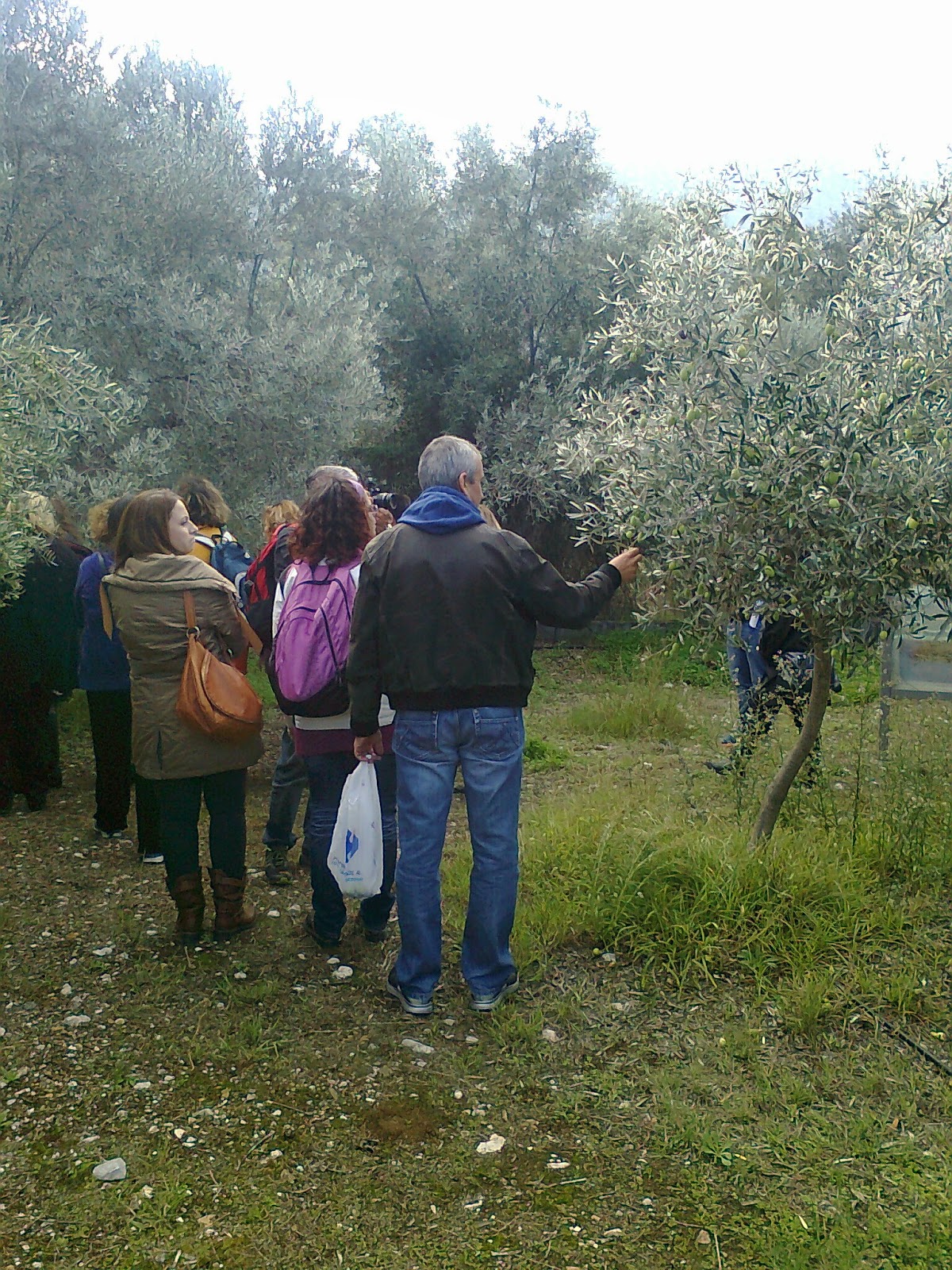 ΣΧΟΛΙΚΟΙ ΛΑΧΑΝΟΚΗΠΟΙ : ΟΙ ΚΗΠΟΙ ΤΩΝ ΣΧΟΛΕΙΩΝ ΤΗΣ Δ/ΣΗΣ Β/ΘΜΙΑΣ ΕΚΠ/ΣΗΣ ...