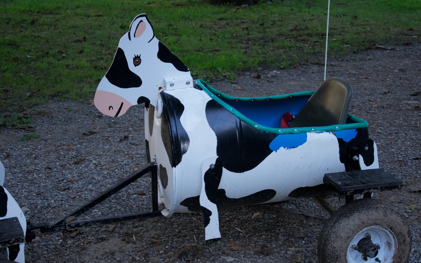 Connecticut Diaries: Cow Train