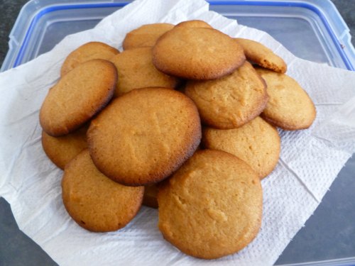 Tales from a Caffeinated Weka: Honey snaps