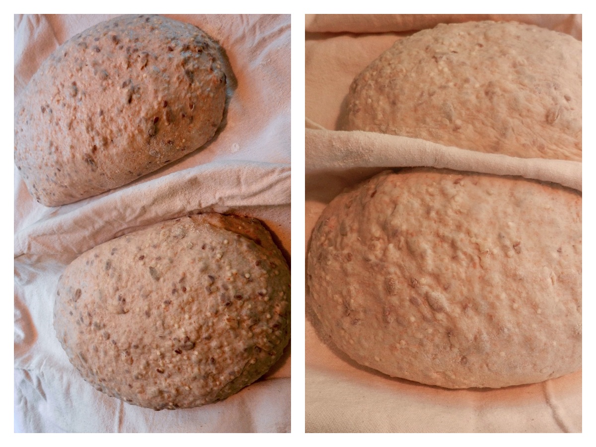 I'll Bake It, You Eat It: Baking Bouchon - Recipe 48: Multigrain Bread