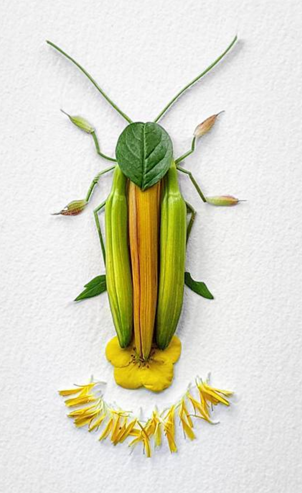 Joyful Puttering: Collecting Creating Connecting: Flower Insects