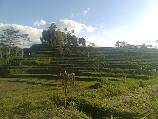 Panorama Desa Di Alam Persawahan Unuh ~ balibaguss