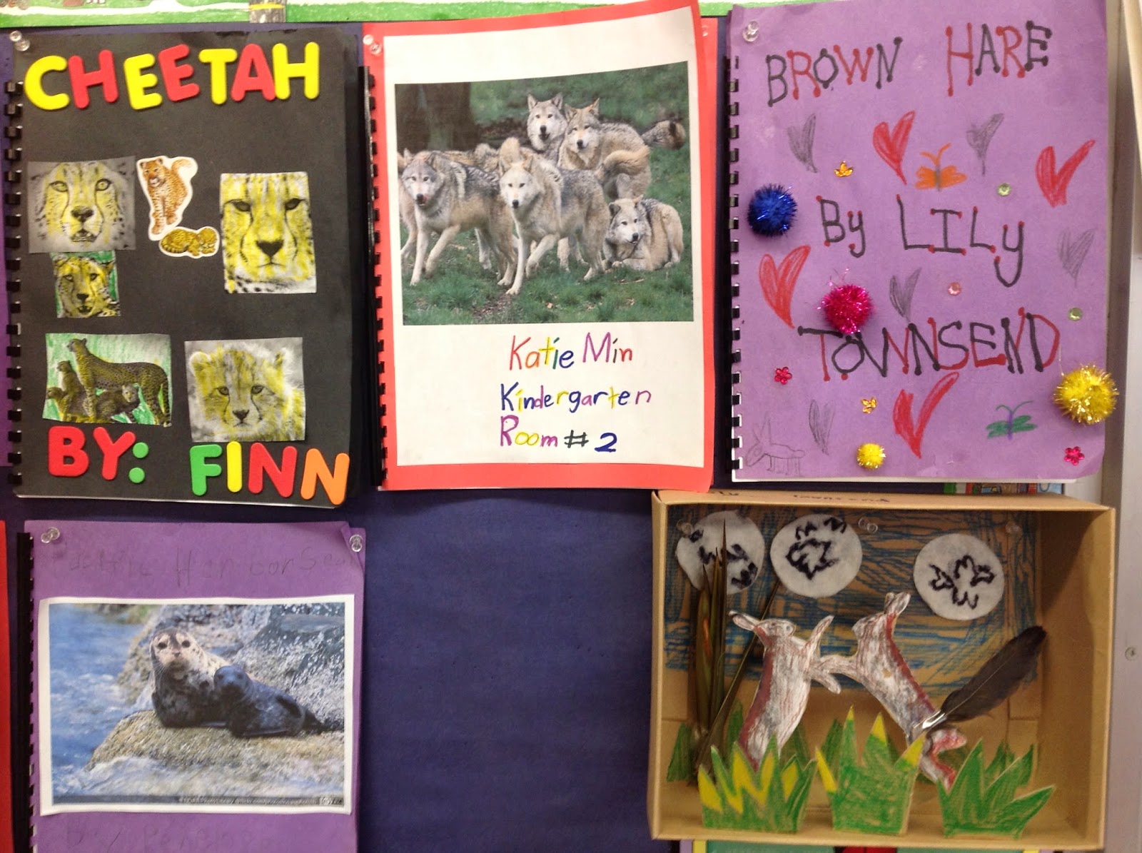 Animal Report and Diorama Projects