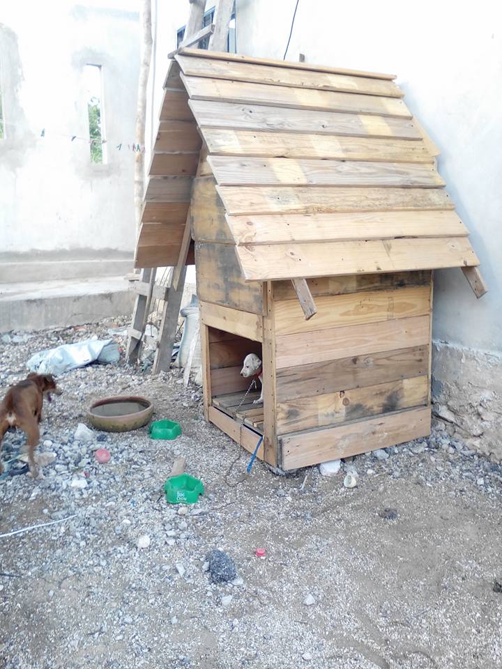 Cucha para perro hecha con palets reciclados