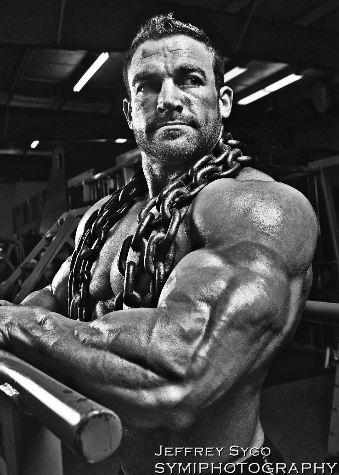Bodybuilding Junction: Todd Whitting