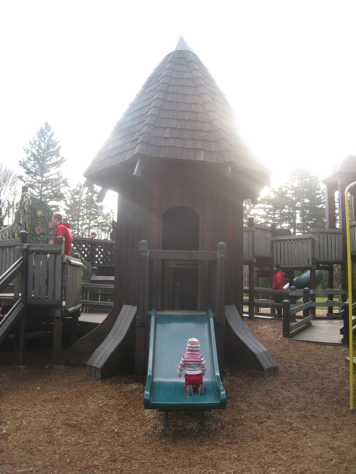 Seattle Family Robson: St. Edwards Park