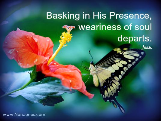 Morning Glory: Finding God's Presence ~ Reflective Basking