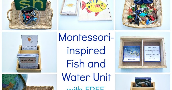 Montessori-inspired Fish and Water Unit with FREE Printables - Every ...