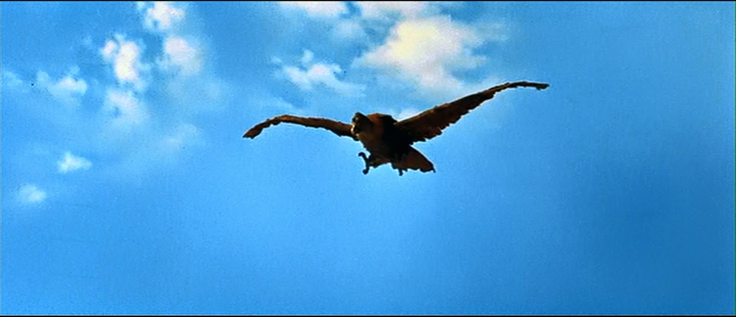 Godzilla Island: Monster Profile: Giant Condor