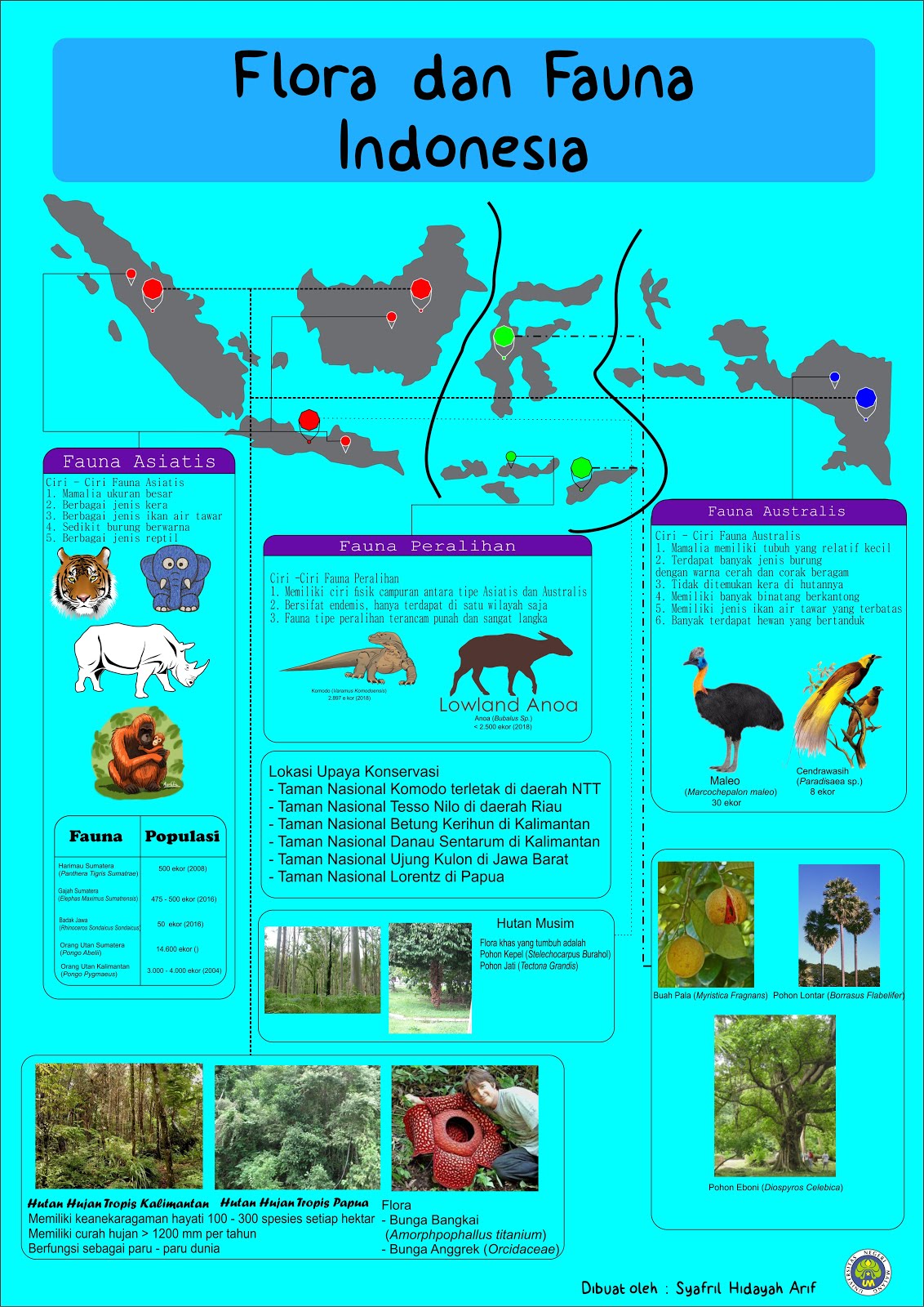 TUGAS 1 : Infografis Persebaran Flora dan Fauna Indonesia