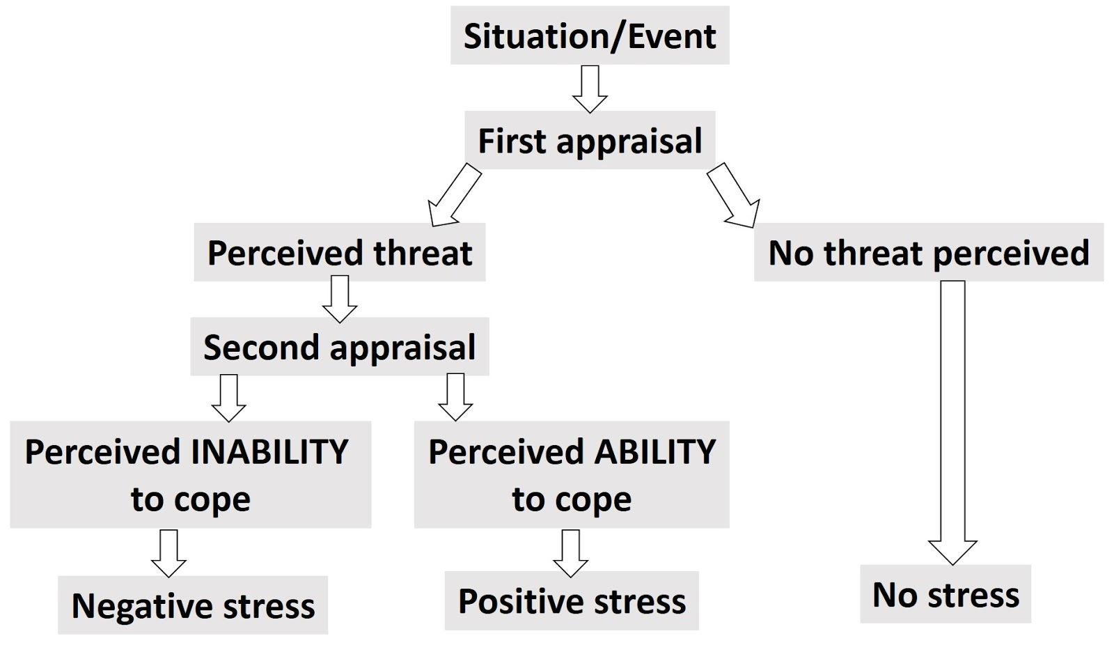 Increasing Intelligence: How to get rid of stress and burnout?