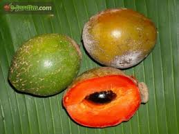 Gastronomía a Libreta Abierta, [=I=]: Gran Zapote