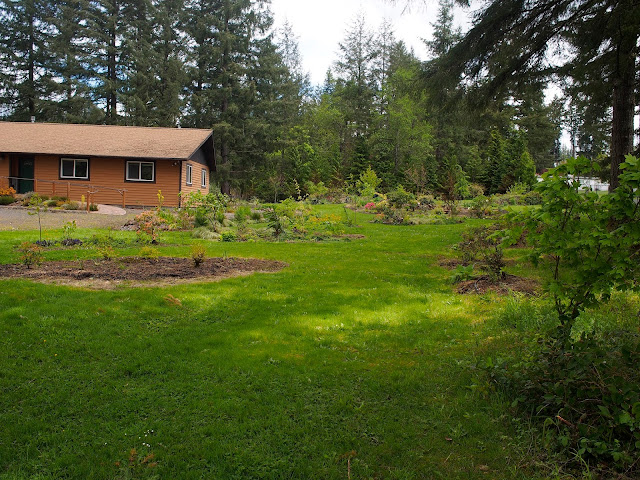 Wednesday Wide Shots