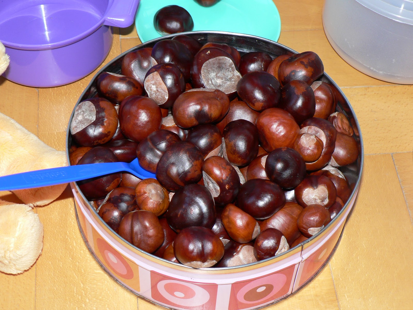 Mama Pea Pod: {Chestnut Tea Party}