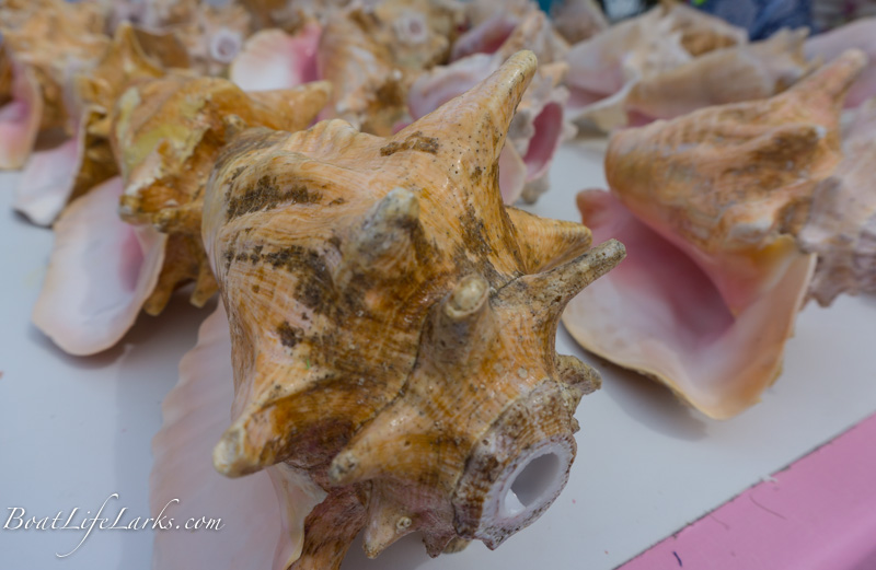 Man-O-War Cay Photo Tour - Boat Life Larks - SV Dulcinea