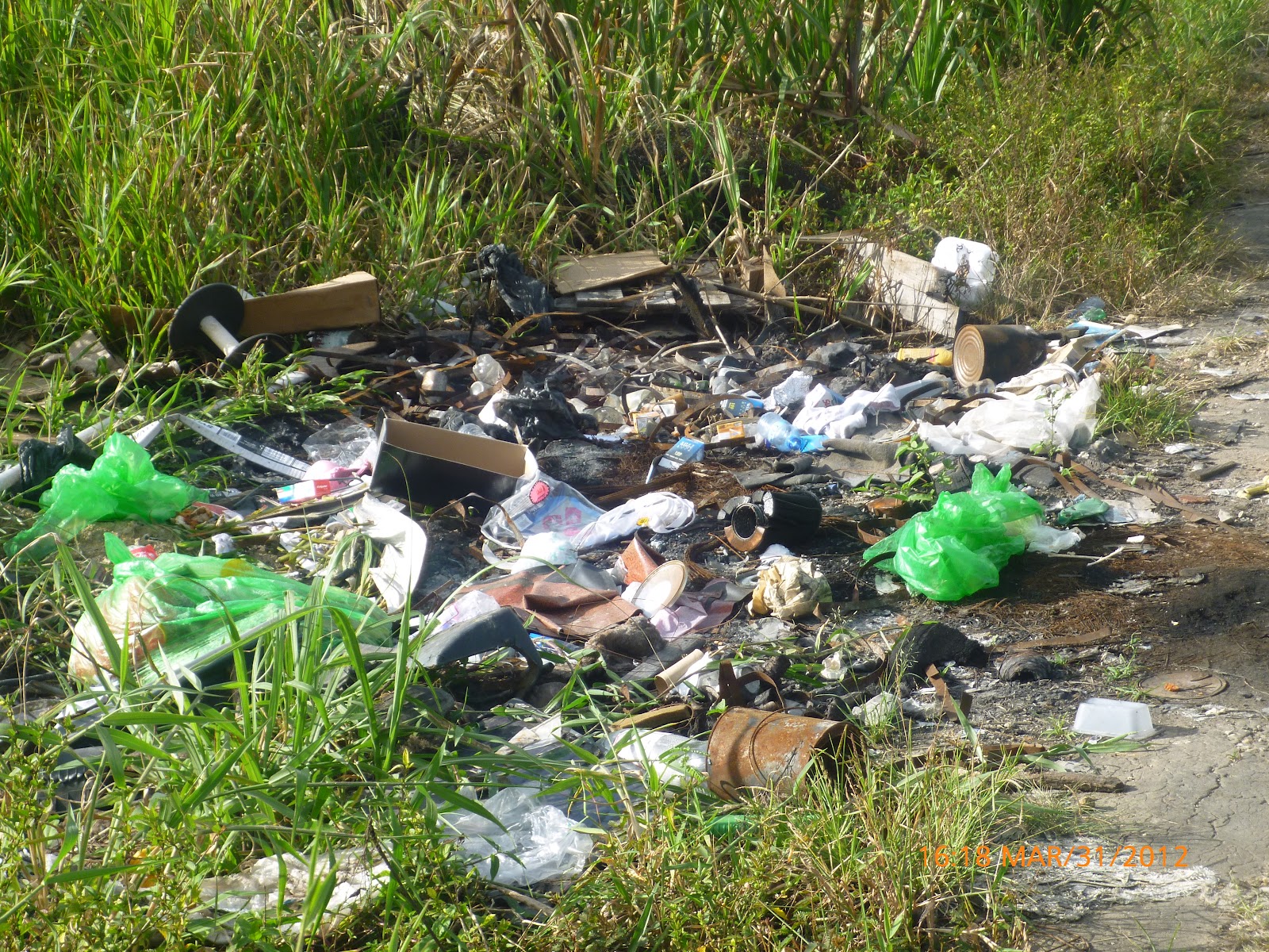 Land Pollution: What is Pollution