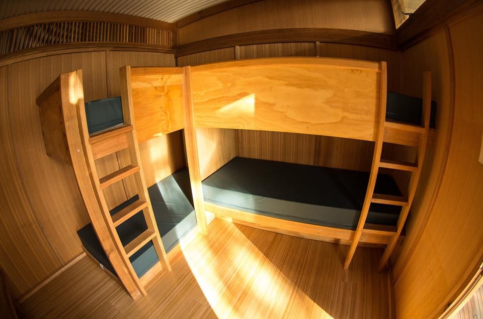 Our Walk a Month: March 2016 - Three Capes Track