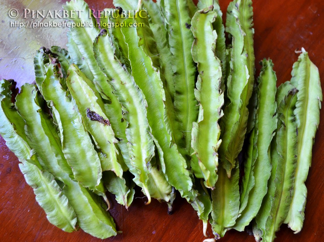 dinengdeng a bunga ti singkamas, jicama fruit stew ~ PINAKBET REPUBLIC