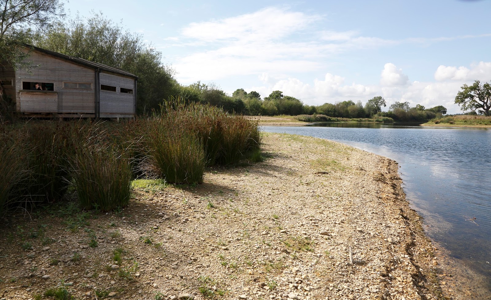 Lower Windrush Valley Project: RSPB’s Big Garden Birdwatch at Rushy Common
