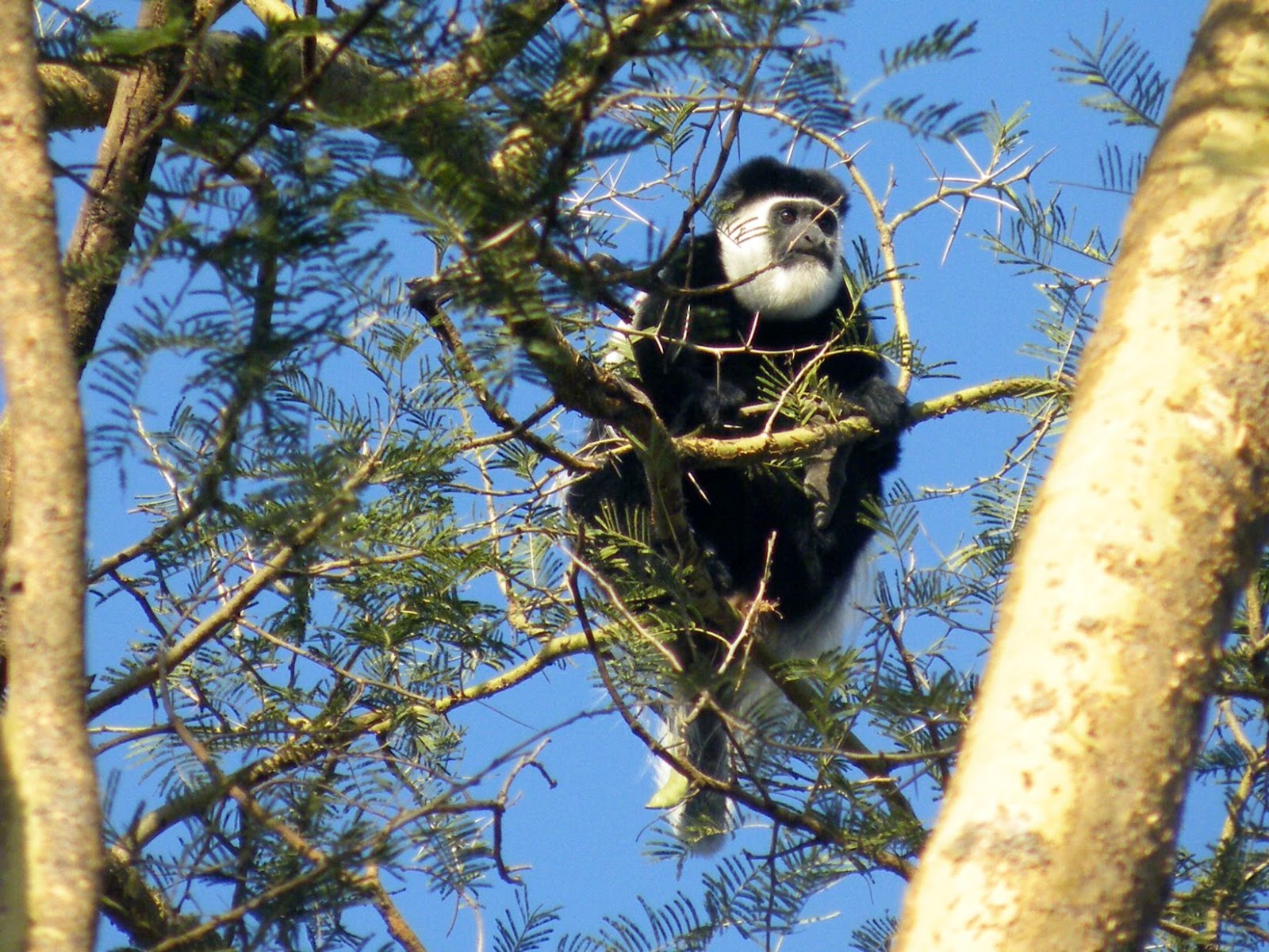 RETRATOS DEL MUNDO: Gibe Valley. Welkite-Etiopía.
