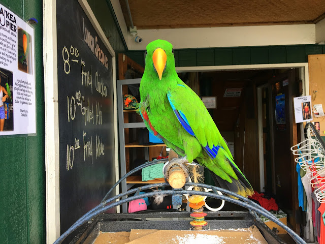 Aloha from Hawaii: A Paradise on Windward coast of Oahu: Heeia Kea Pier ...
