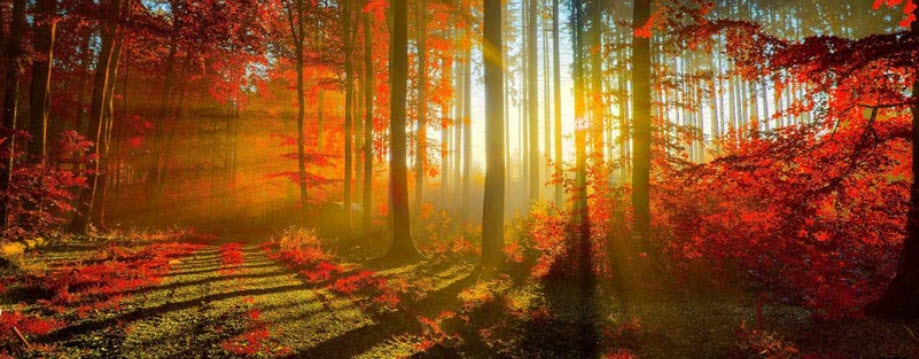 mphoto-cover: beautiful nature wallpaper for facebook cover page