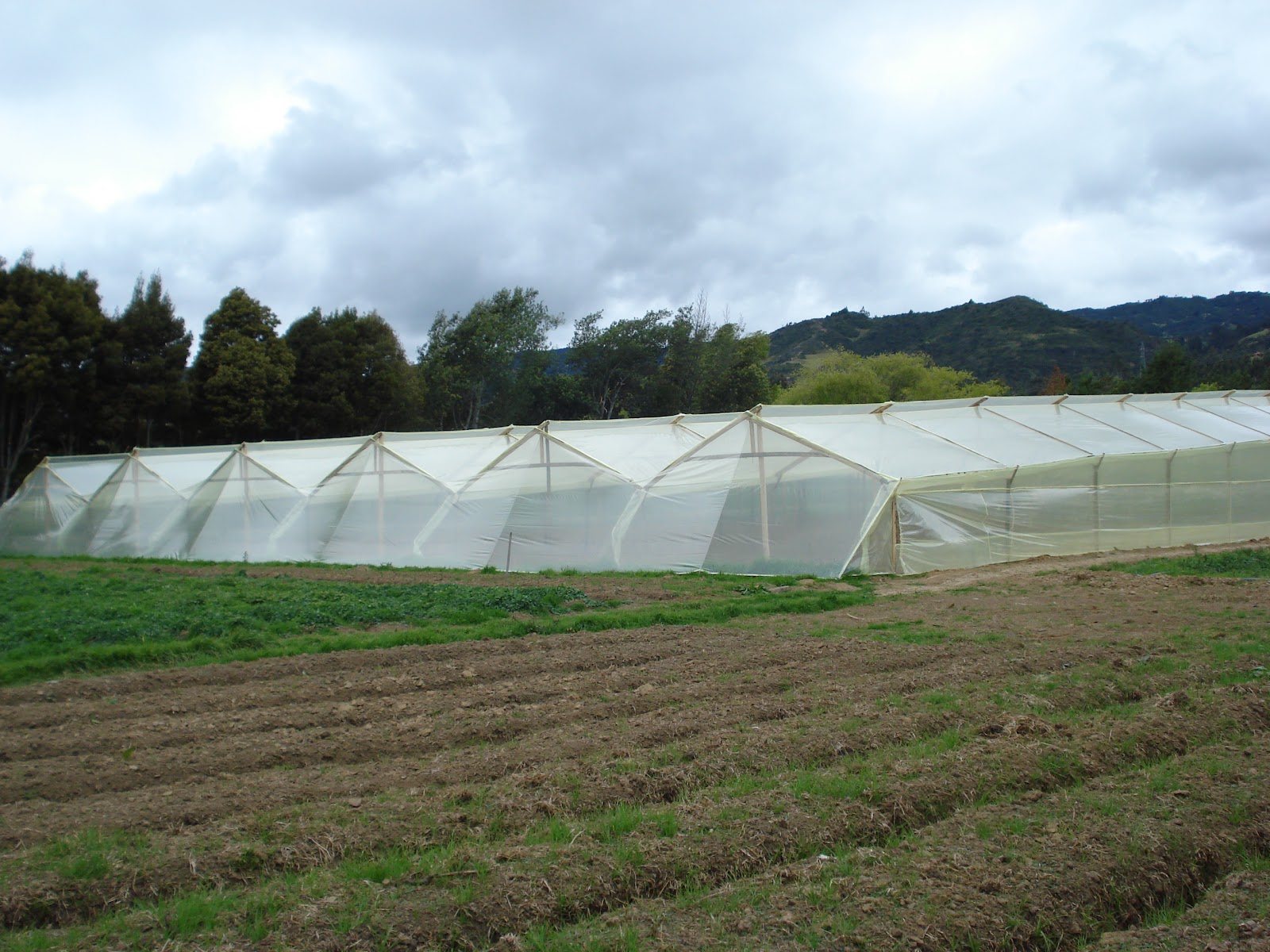 Plastilene Plasticos Comercio: AGROLENE