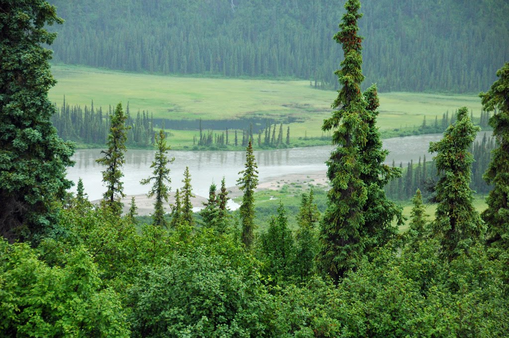 No Regrets: Denali – Paxson Lake – Glacier View, AK