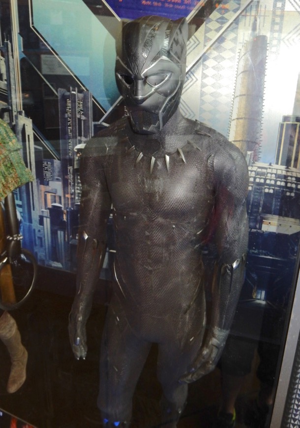 Hollywood Movie Costumes and Props: Black Panther, Nakia and Shuri ...