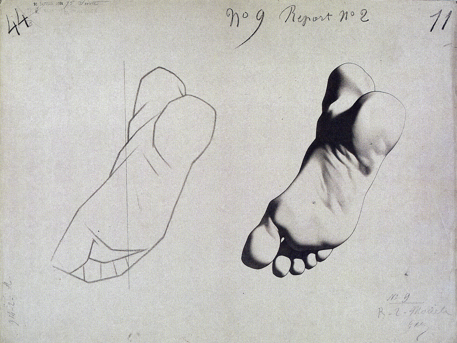 The Classical Pulse: Bargue Drawing Course, Part 1a