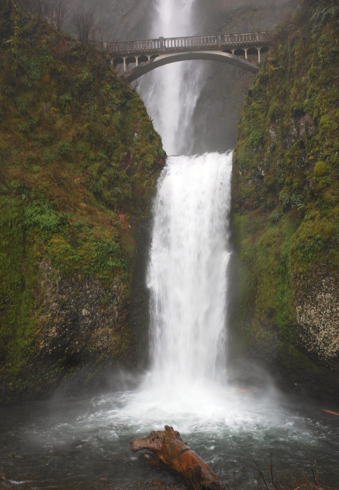 1000 Hikes in 1000 Days: Track #508: Multnomah Falls - Oneota George ...