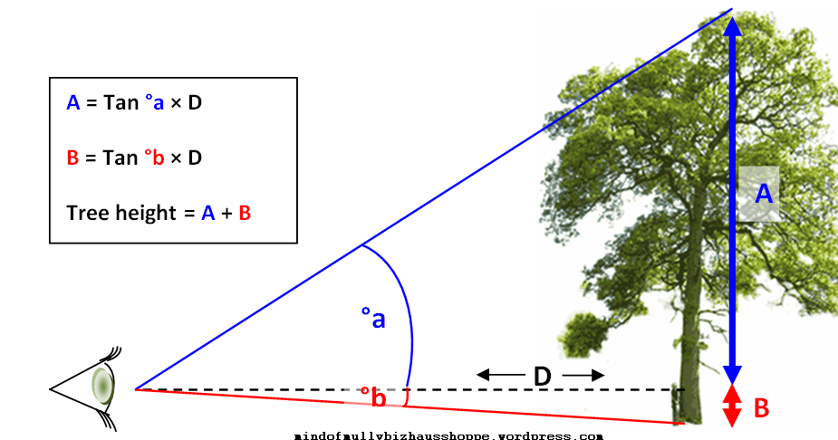 Materi Trigonometri Lengkap - Afdhal Ilahi | News and Education Portal