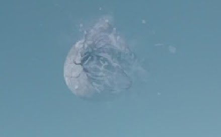 Non-humanoid aliens Worldbuilding | Page 5 | Sufficient Velocity