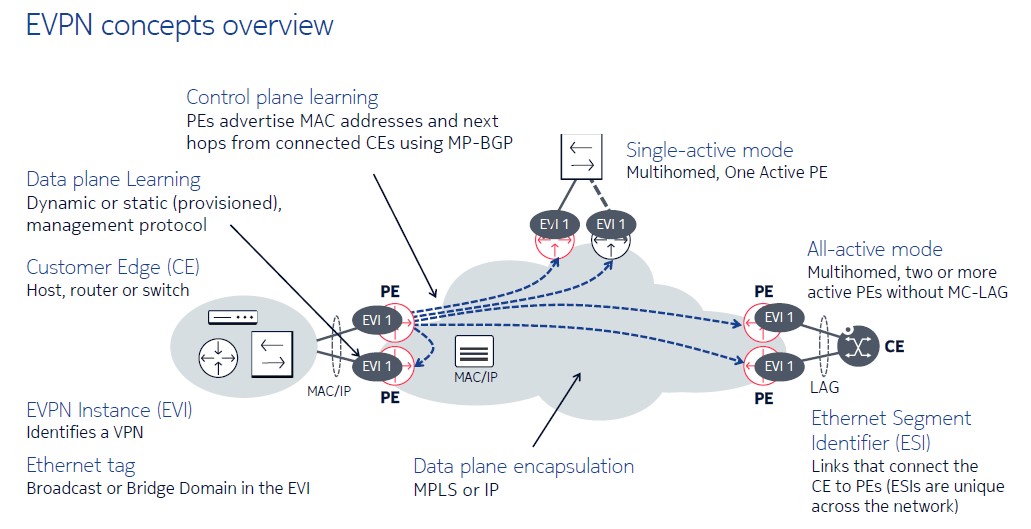 the peering xchange : [a network engineer’s blog]: MPLS L2VPN (EVPN on ...
