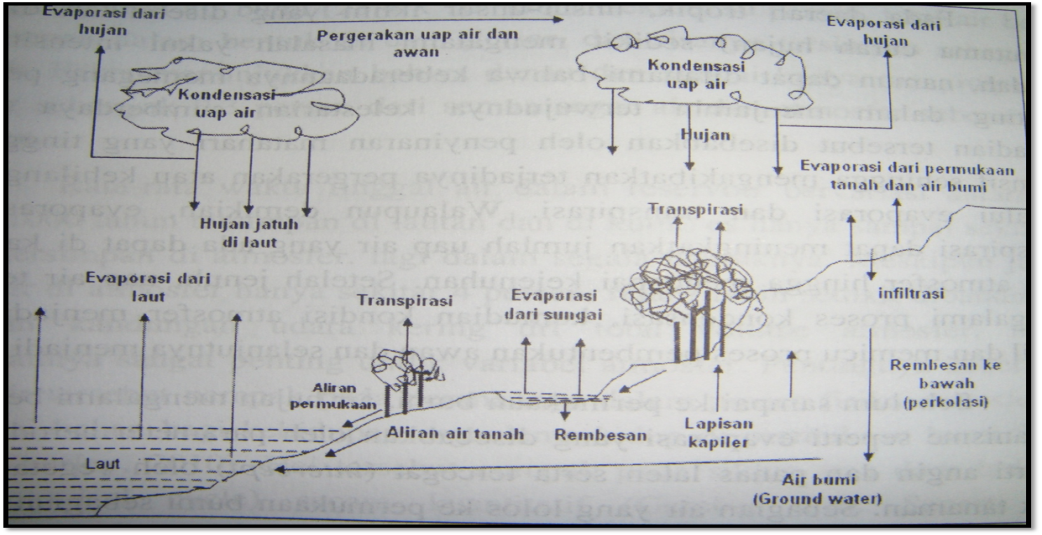PEMBENTUKAN AWAN DAN HUJAN (SIKLUS HIDROLOGI)