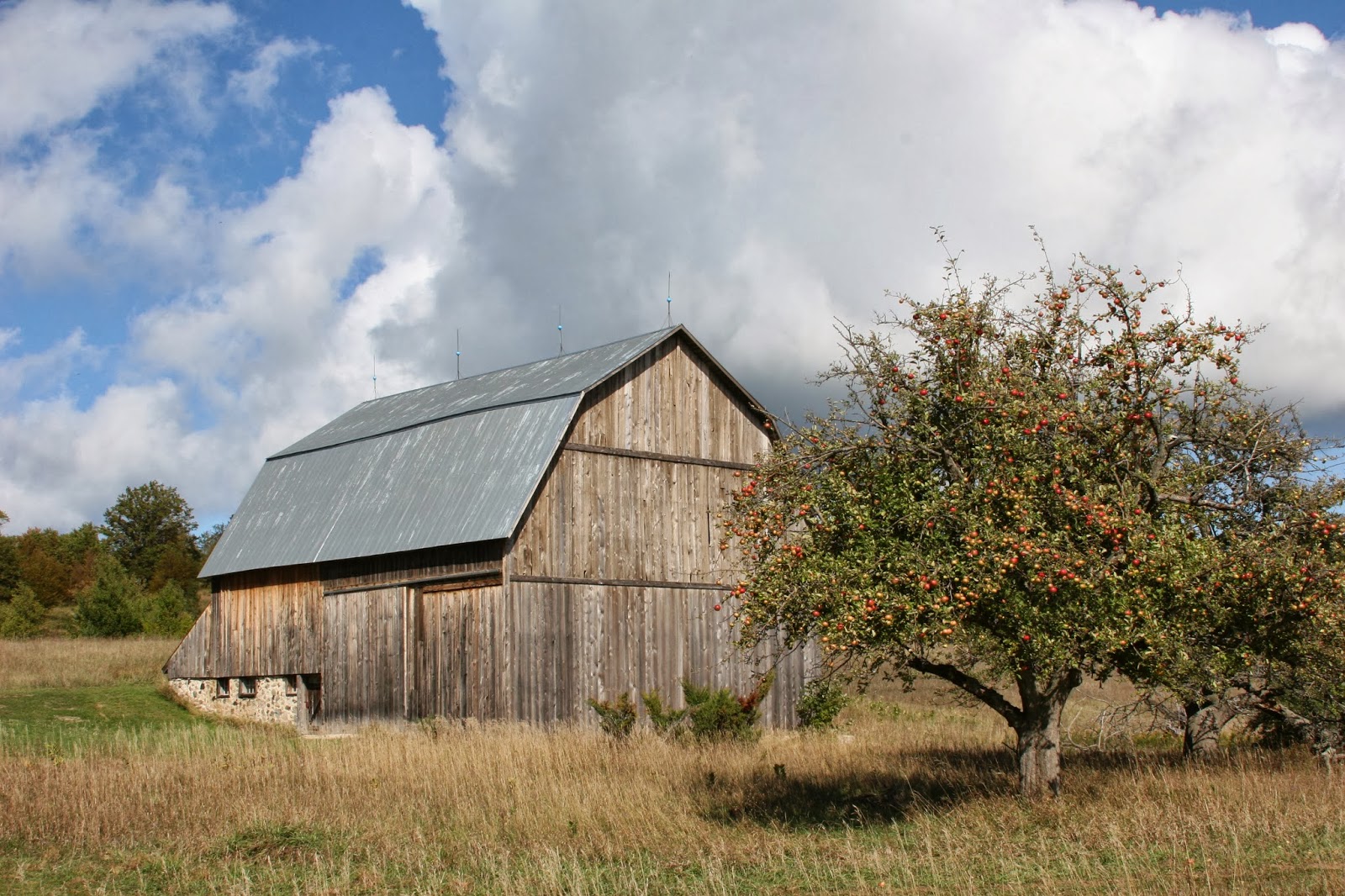 Isabella Conservation District Environmental Education Program: The ...
