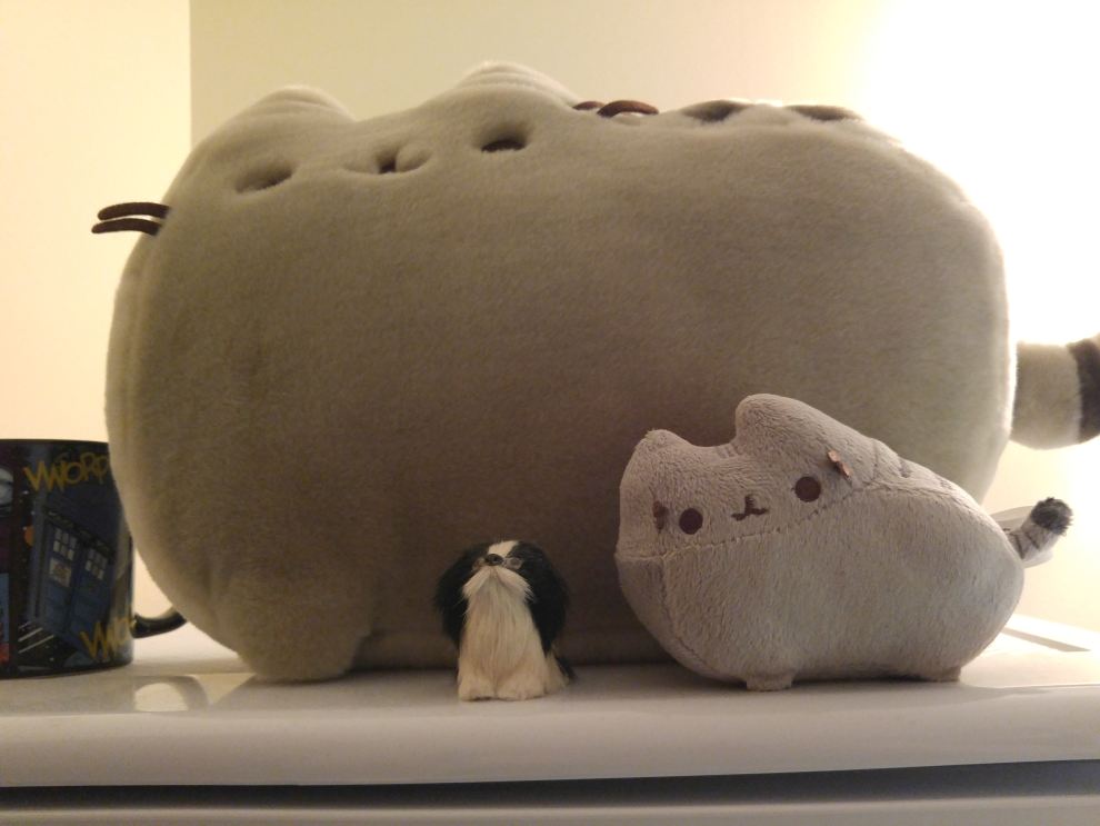 50 Photos of Pusheen