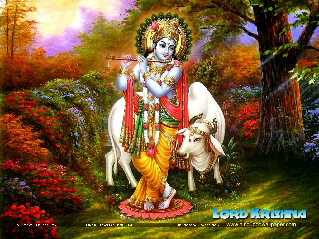 Lord Krishna Images | High Quality Lord Krishna images | HD Krishnar ...