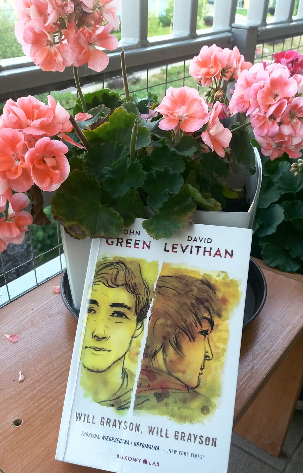 Zapisane w słowach: "Will Grayson, Will Grayson" John Green, David ...